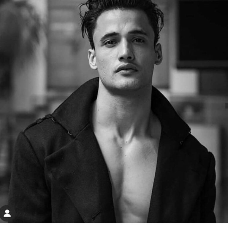 Asim Riaz (Bigg Boss 13) Age, Height, Girlfriend, Biography and More ...