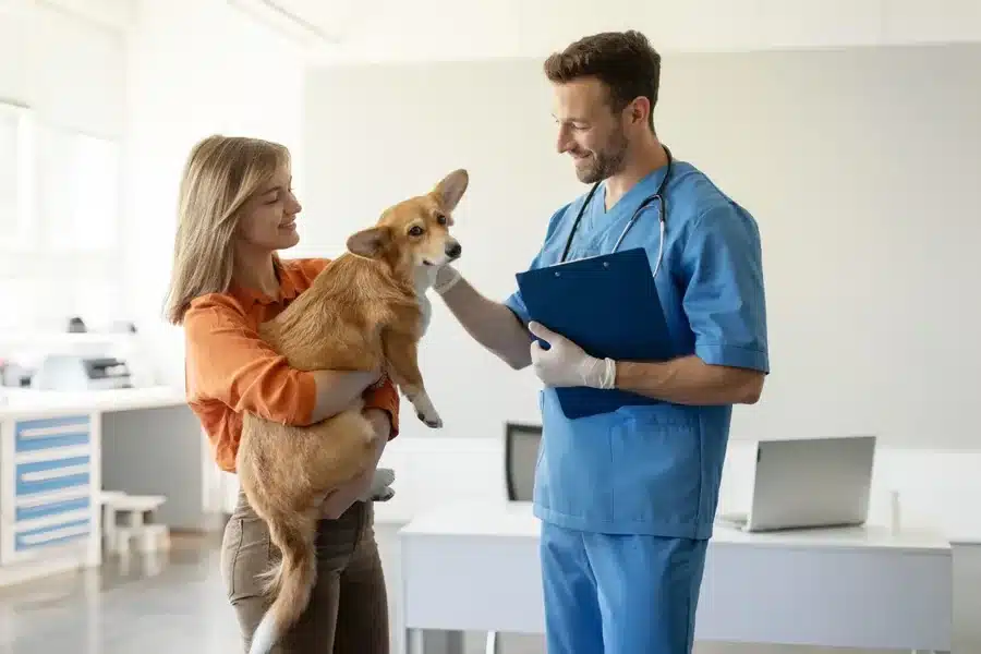 Veterinary Care Made Simple: A Guide For Pet Owners
